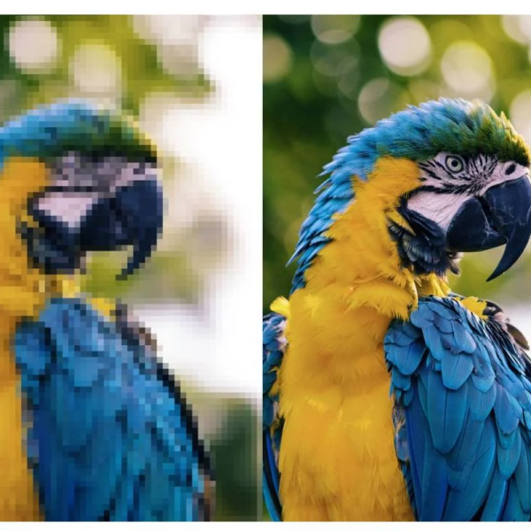 Comprendre les pixels : Fondement de l’image numérique - Focus Images